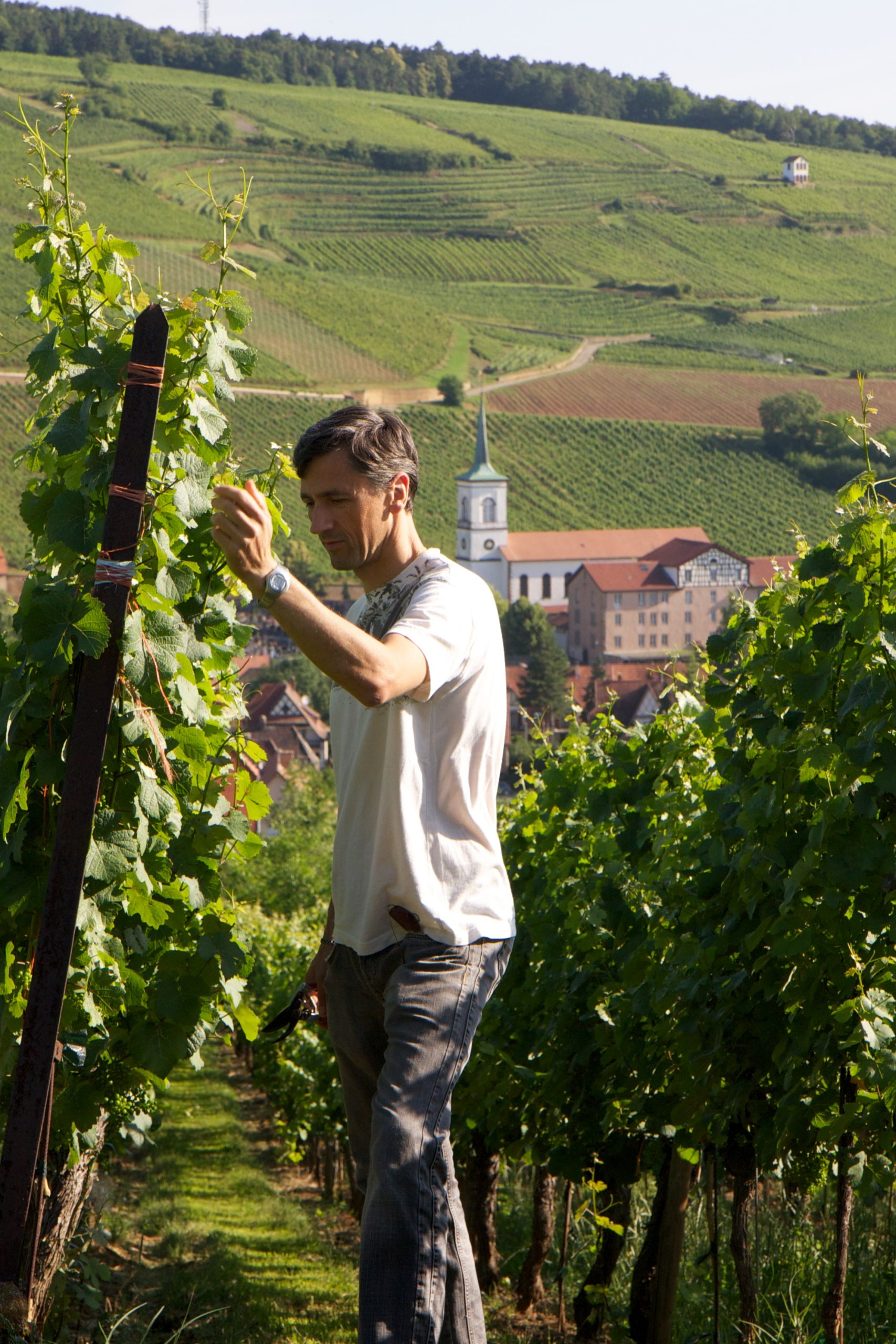 Alsace – Authentiquevin